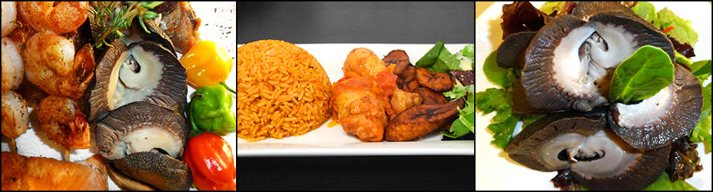 Nations Cafe - Sandy Springs, GA 30350 (Menu & Order Online)